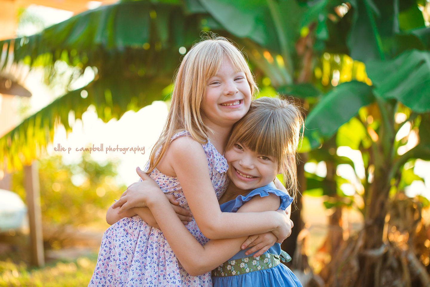 The Rippy Family – Sarasota Photographer | Ellie P. Campbell Photography